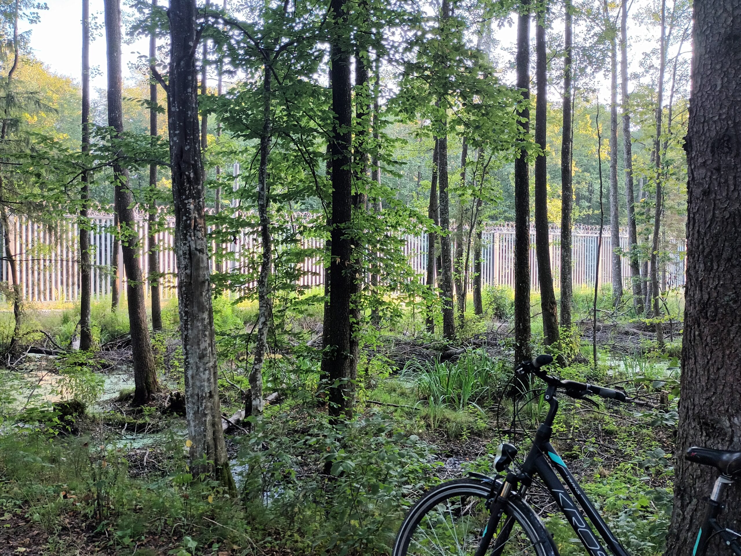 Let the train take the strain - This Age Thing